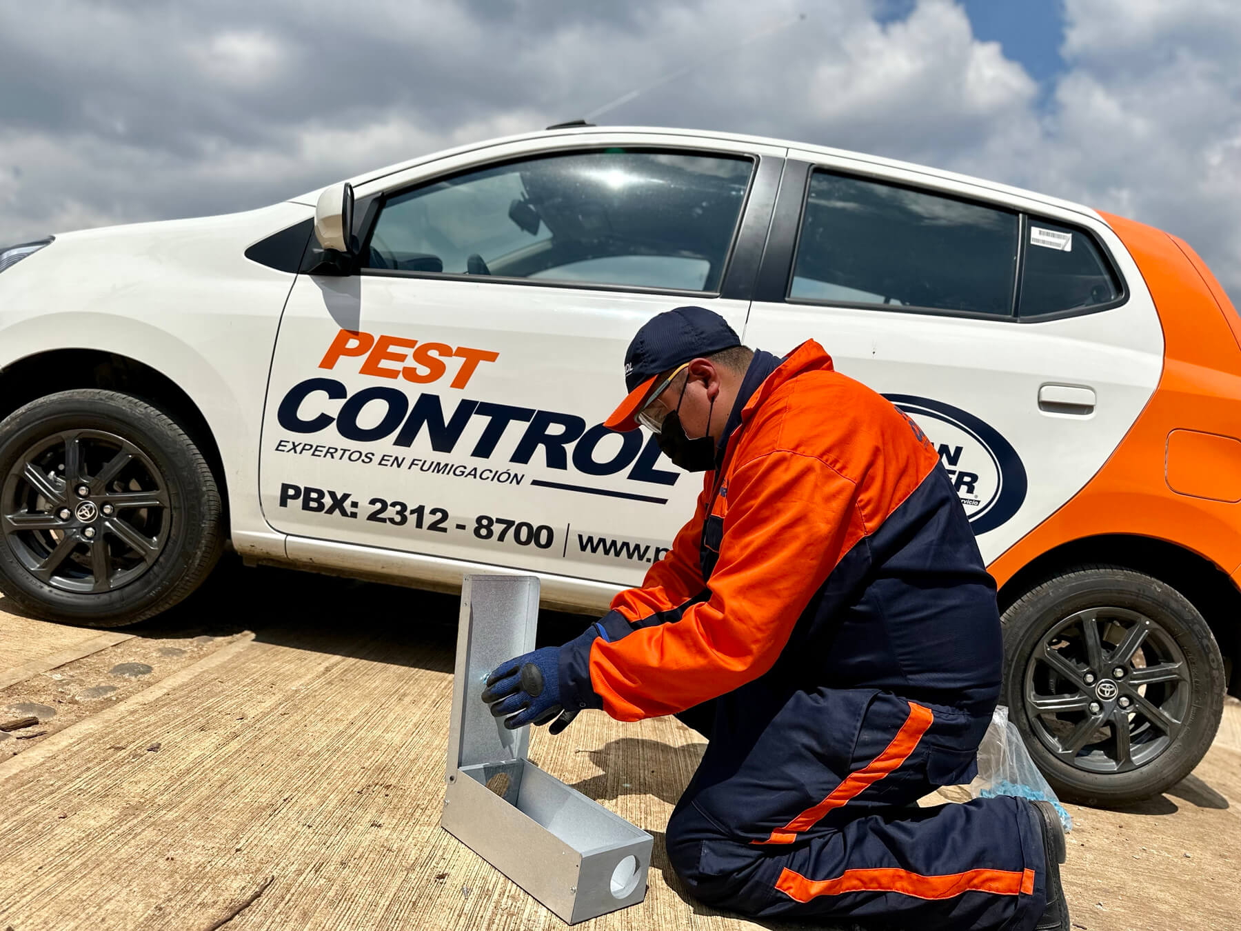 Control de Insecto Volador - Pest Control